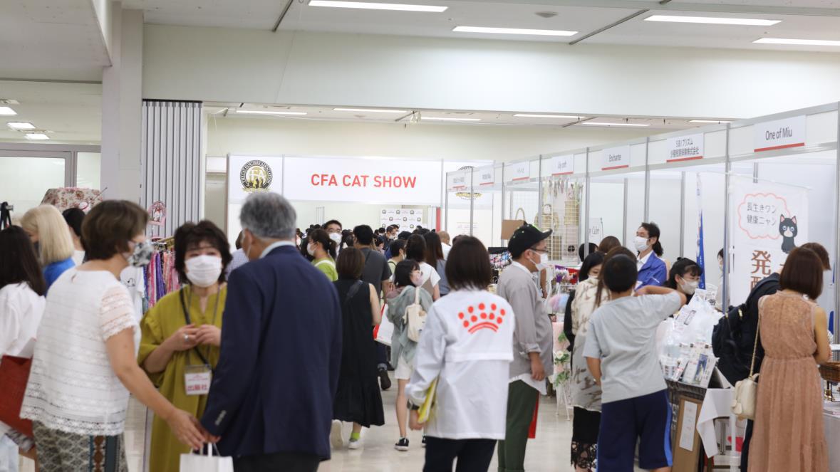 Japan Cat Show 2022 動画配信中 – CFA Japan Region